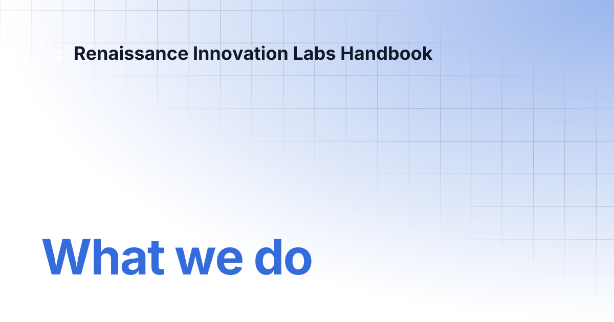 What we do | Renaissance Innovation Labs Handbook